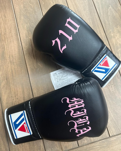 Grant Gloves | Premium Boxing Gloves for Training & Performance
