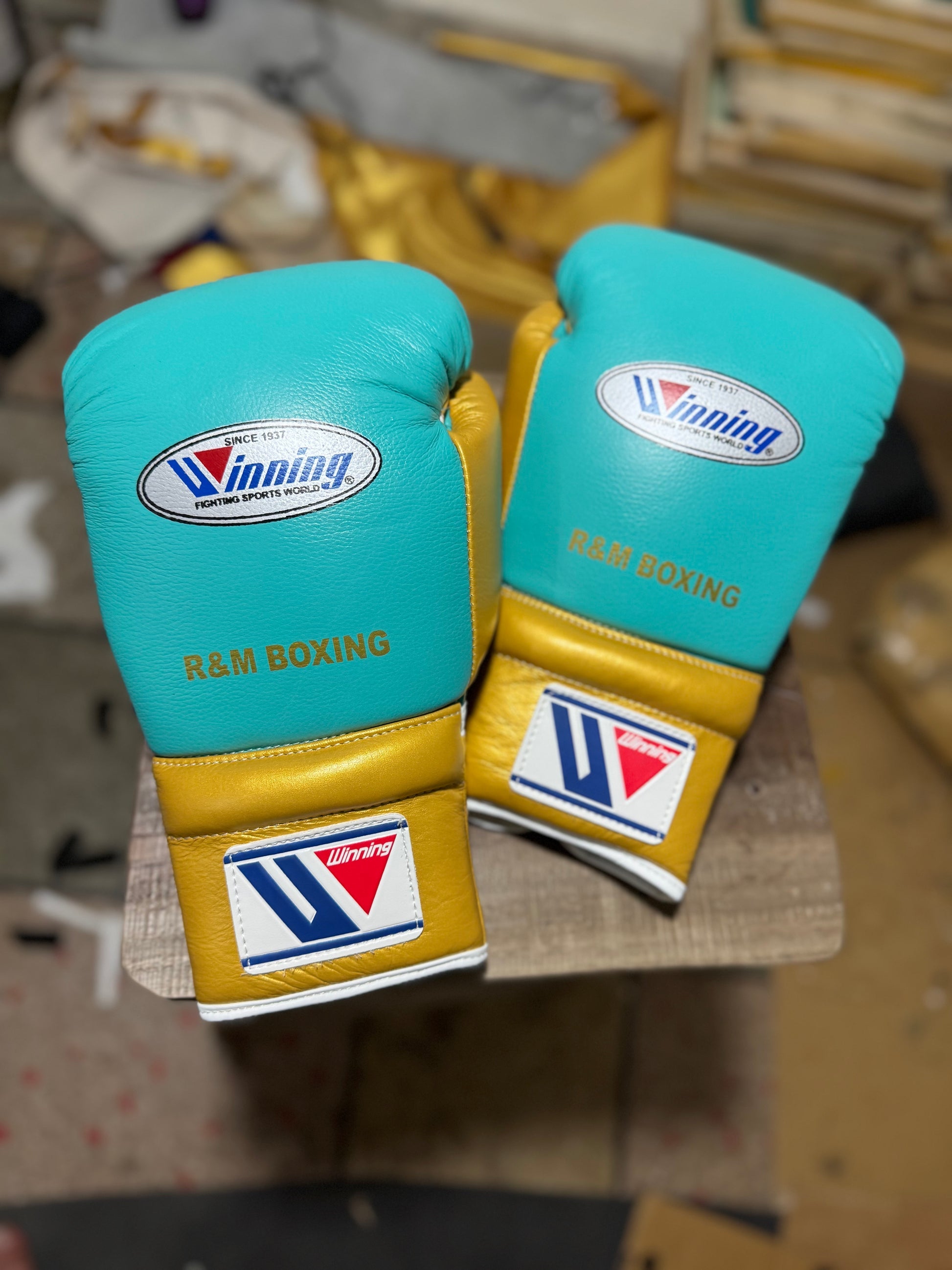 Grant Gloves | Premium Boxing Gloves for Training & Performance