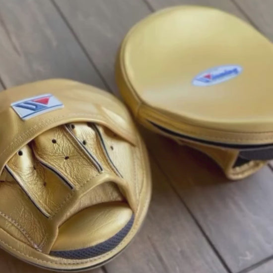Winning Golden Punching Mitts for Boxing Training | Focus Pads for Coa ...