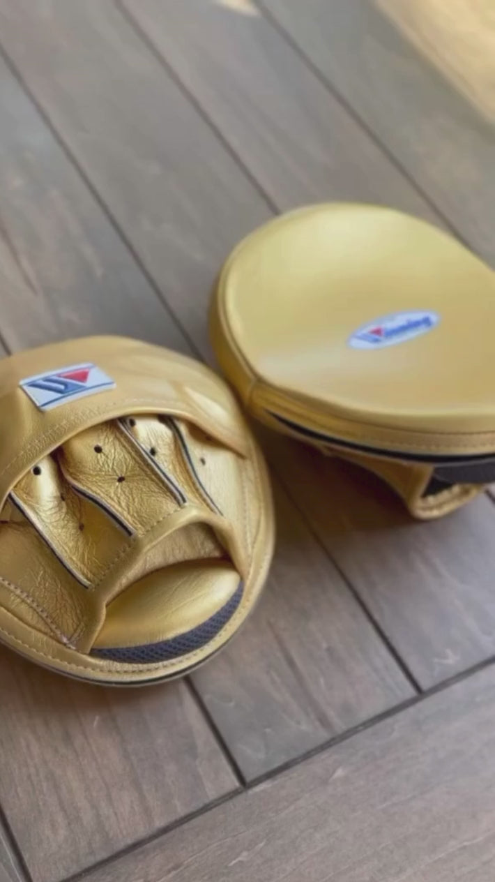 Winning Golden Punching Mitts for Boxing Training | Focus Pads for Coa ...